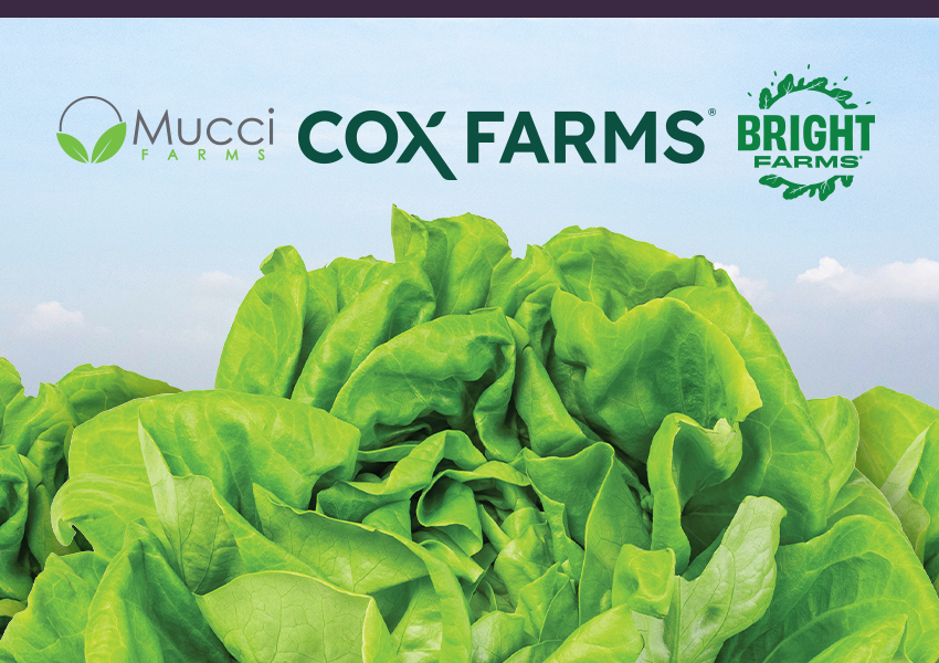 News Archives - Cox Farms