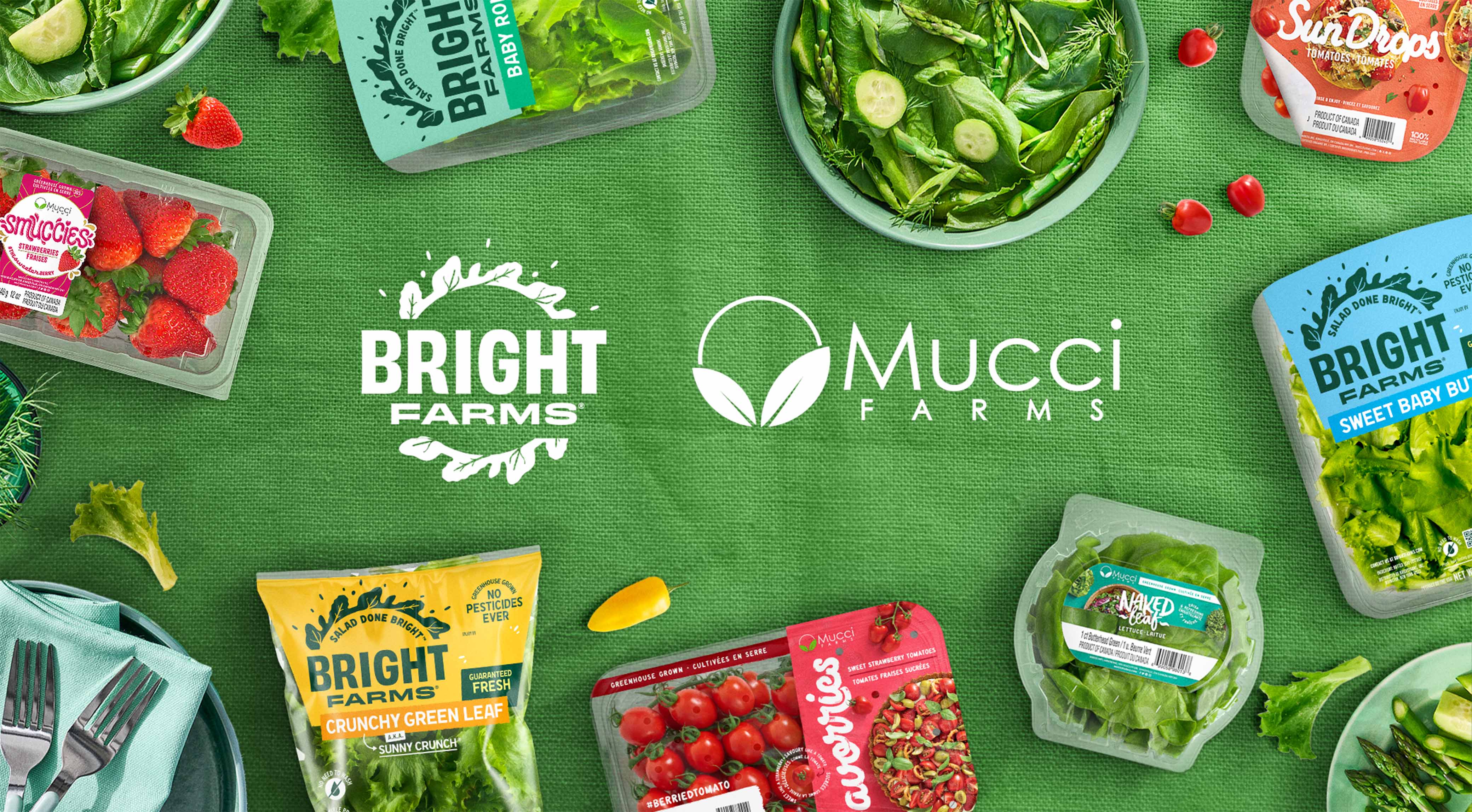 Our Brands | Cox Farms